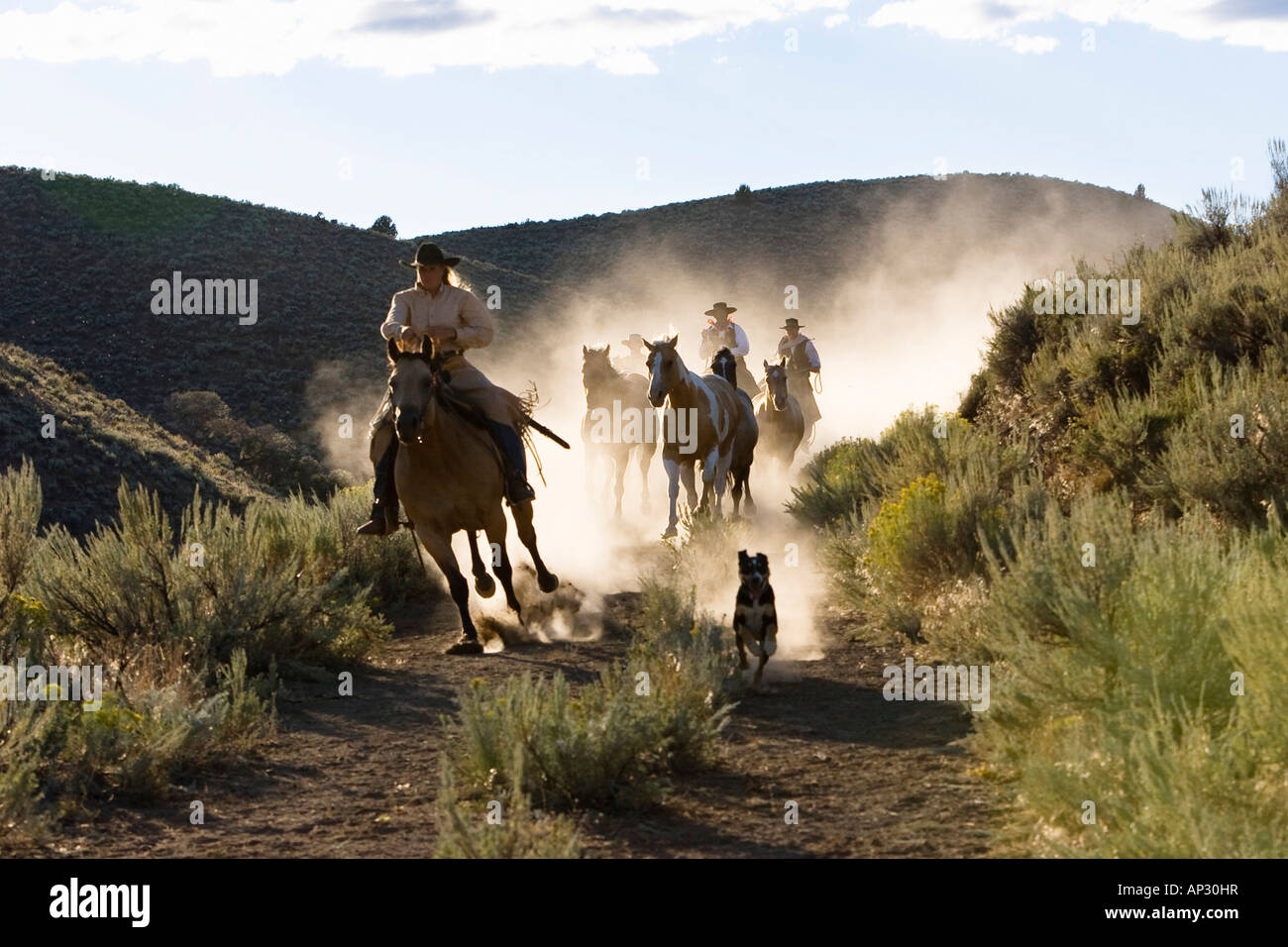 Usa oregon malheur national forest hi-res stock photography and images ...