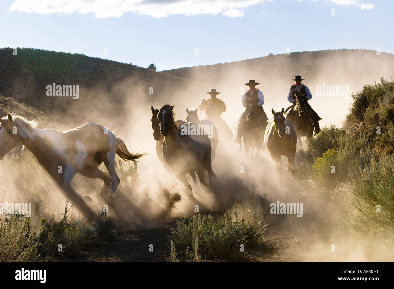 Usa oregon ponderosa ranch cowboys hi-res stock photography and images ...