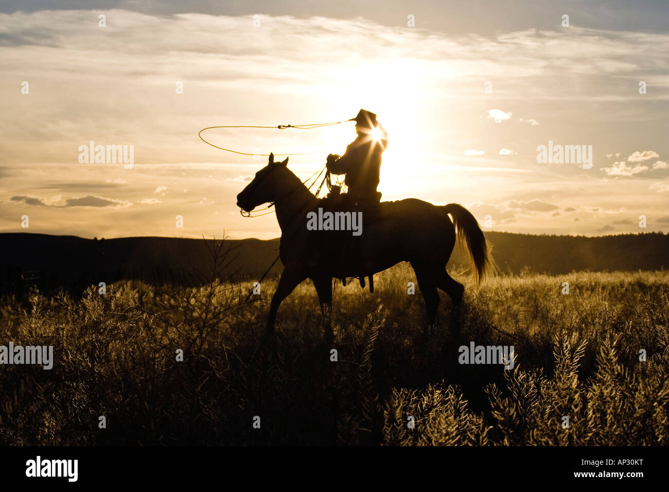cowboy at sunset, Oregon, USA Stock Photo - Alamy