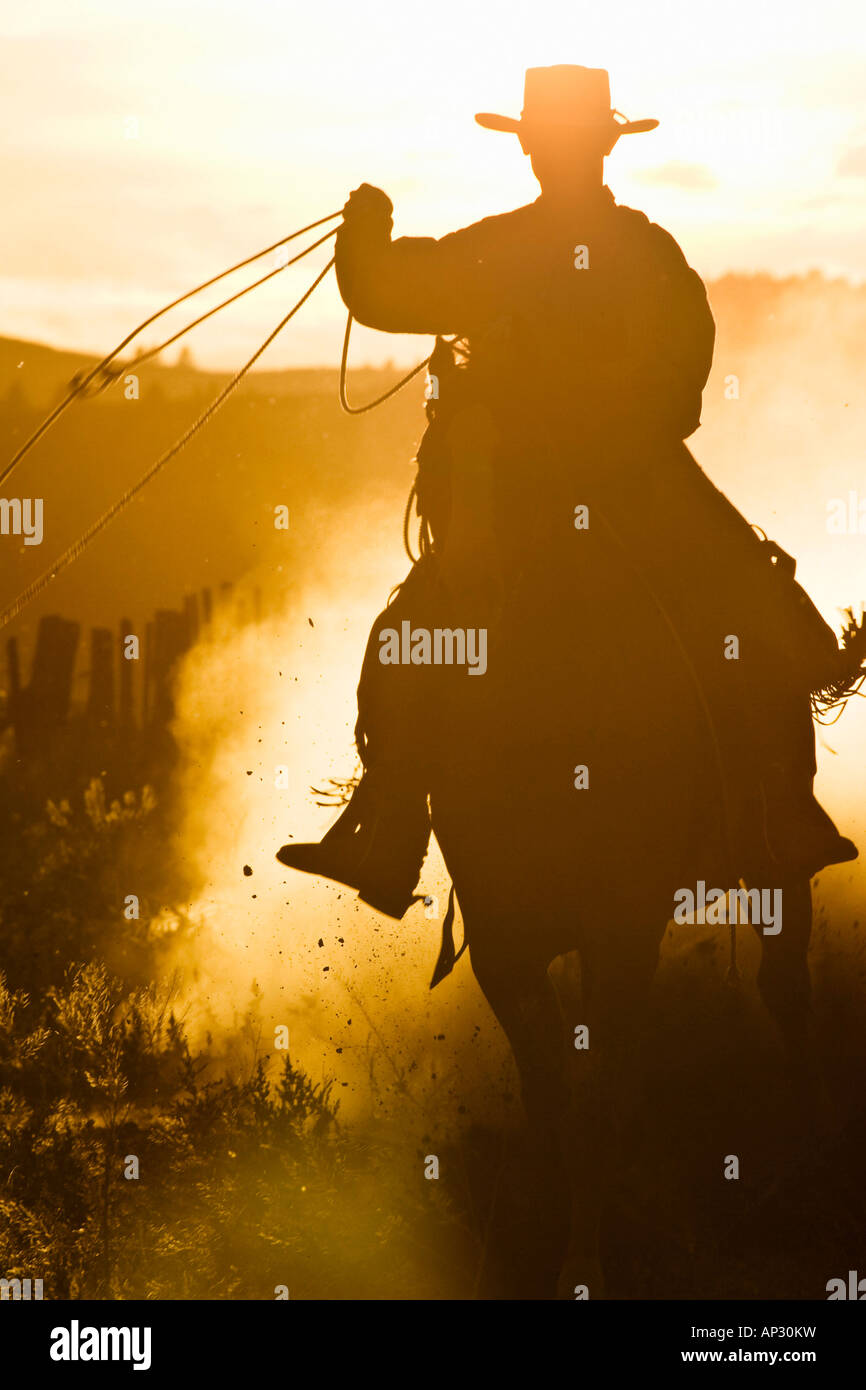 Cowboy Riding Into Sunset High Resolution Stock Photography and Images ...
