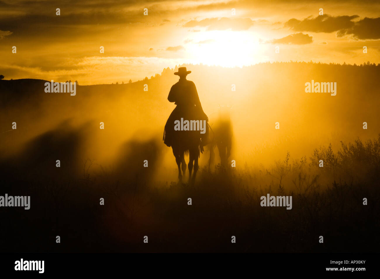 Cowboy Riding Into Sunset High Resolution Stock Photography and Images ...