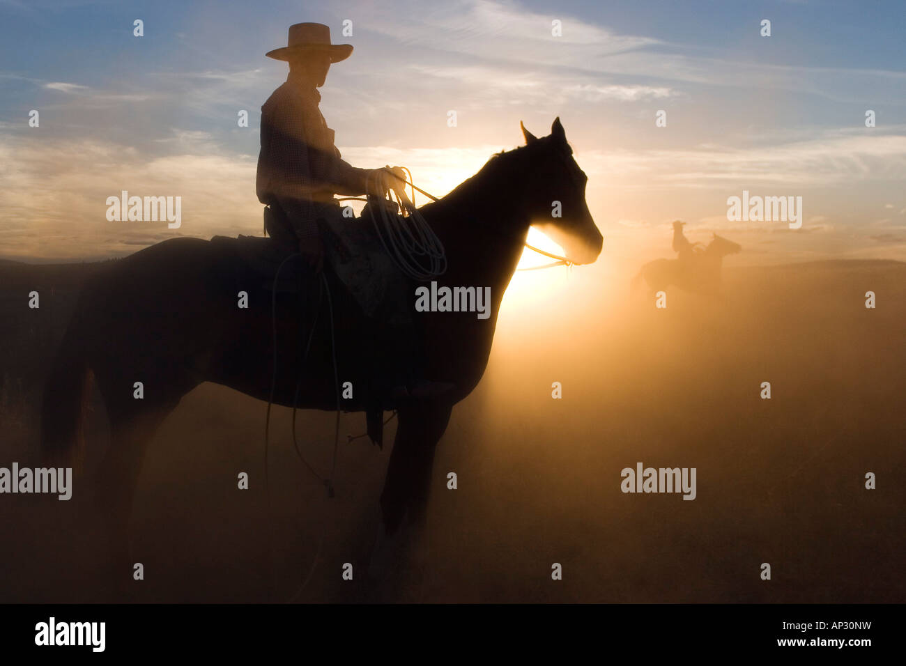Silhouetted cowboy and horse hi-res stock photography and images - Alamy