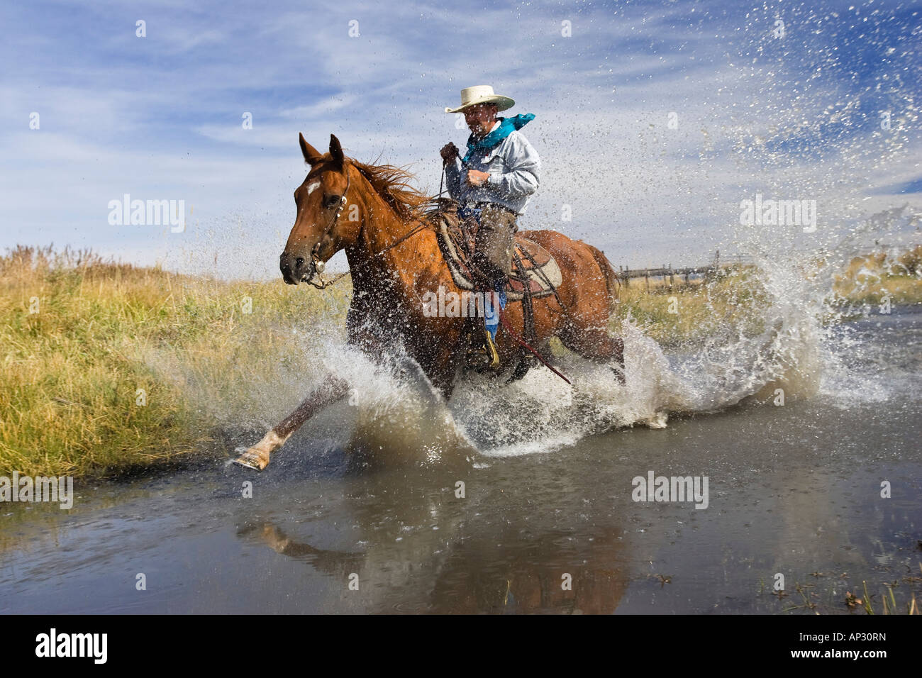 Cowboy riding in water, wildwest, Oregon, USA Stock Photo - Alamy