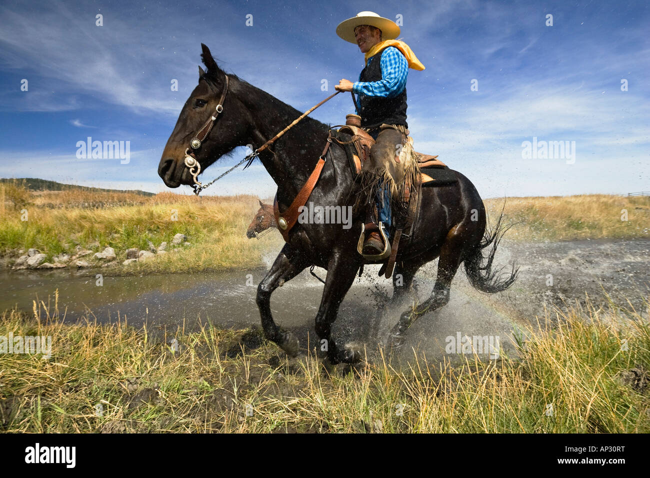 Cowboy riding in water, Wildwest, Oregon, USA Stock Photo - Alamy