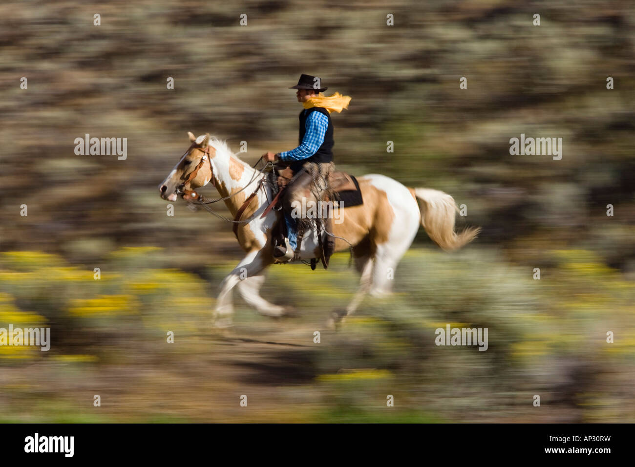 Usa oregon ponderosa ranch cowboys hi-res stock photography and images ...