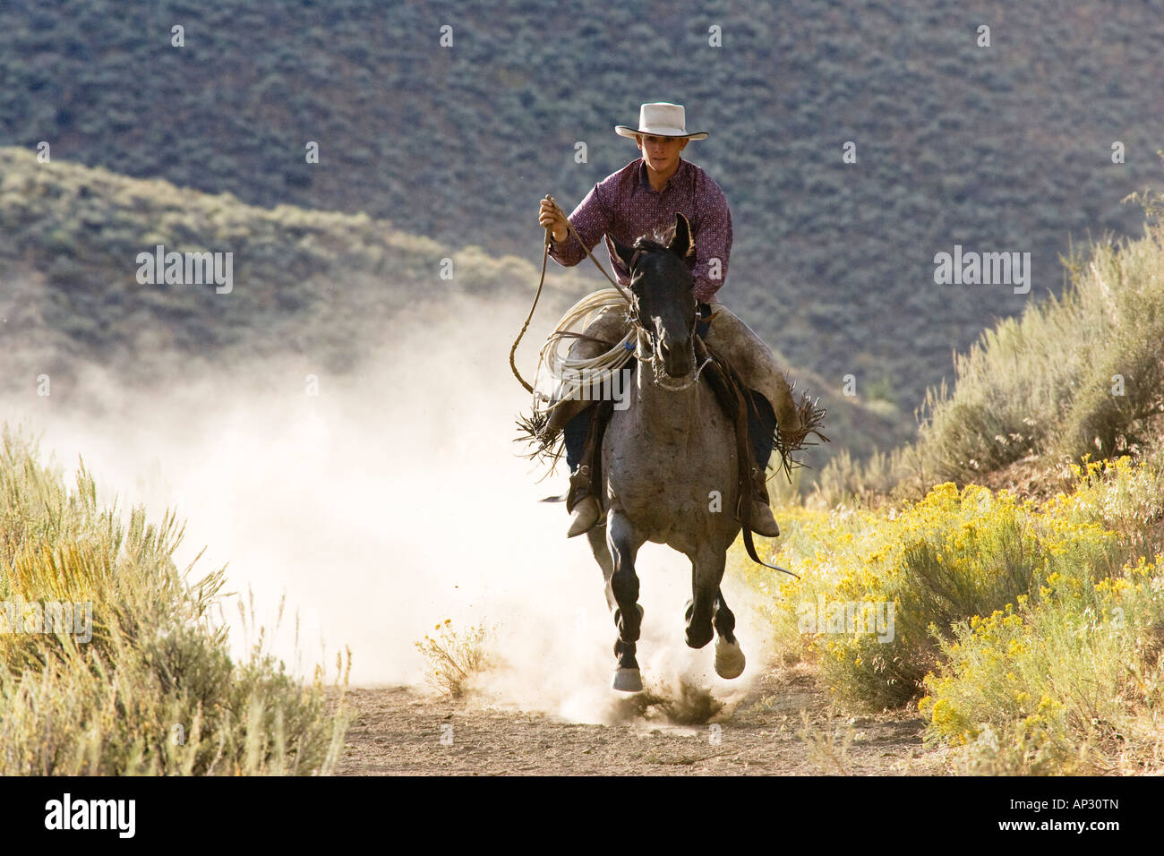 cowboy riding, Oregon, USA Stock Photo - Alamy