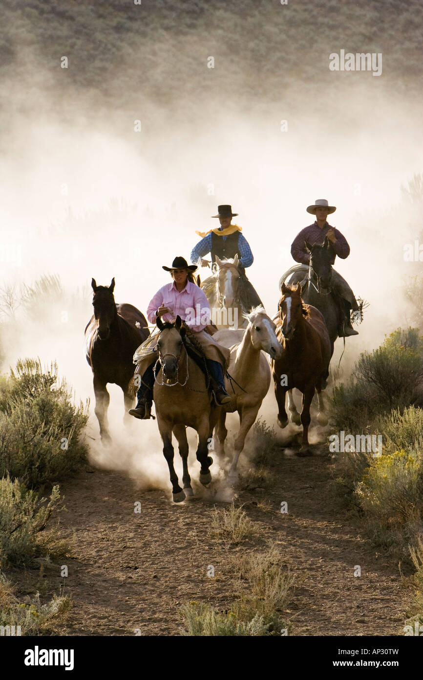 cowboys riding, Oregon, USA Stock Photo - Alamy