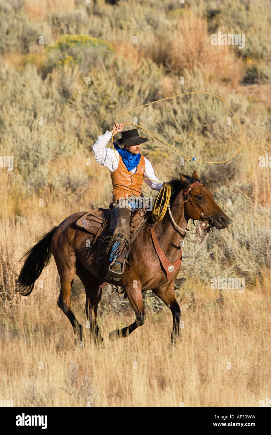 Cowboy throwing lasso hi-res stock photography and images - Alamy