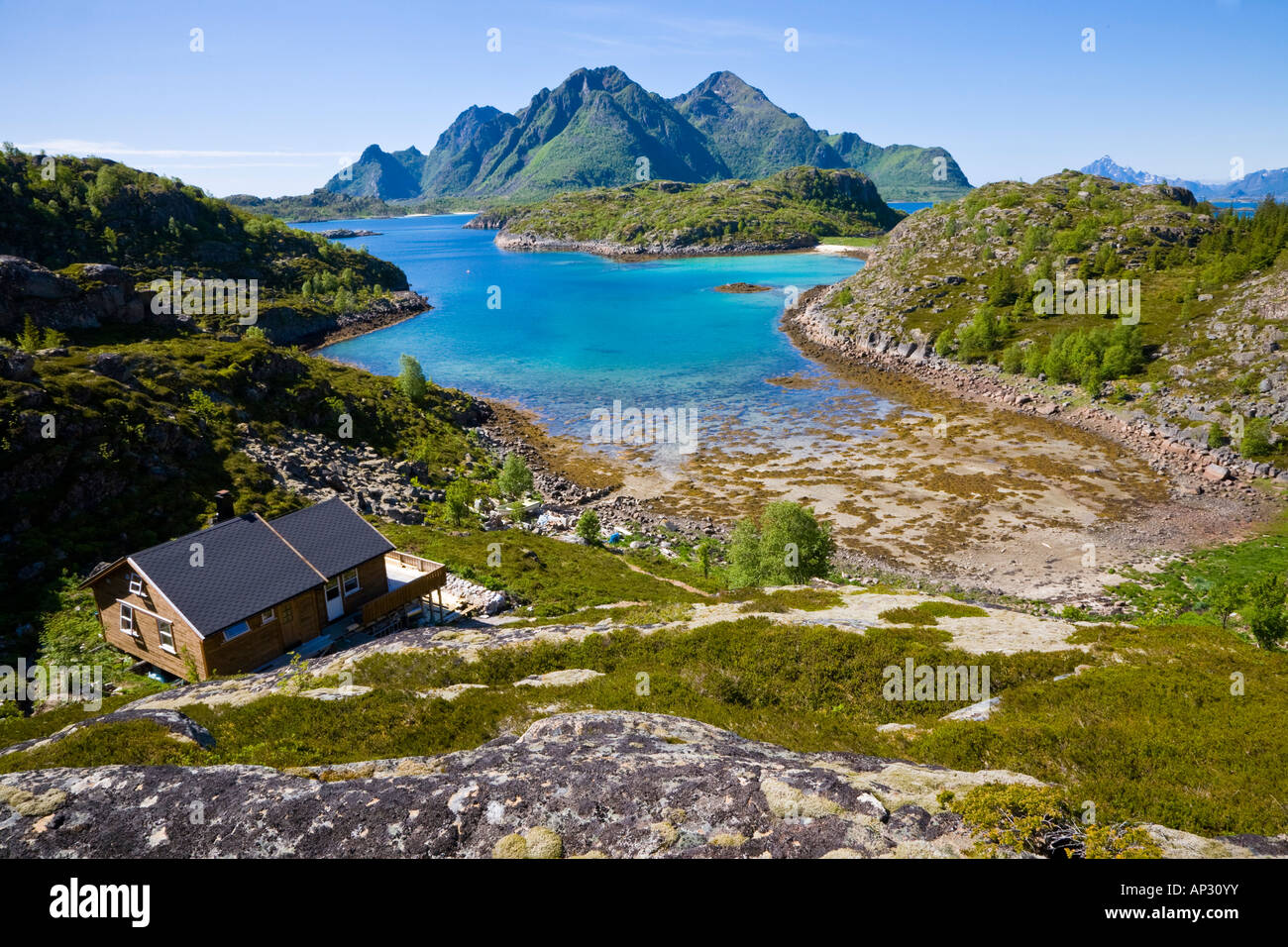 Store molla hi-res stock photography and images - Alamy