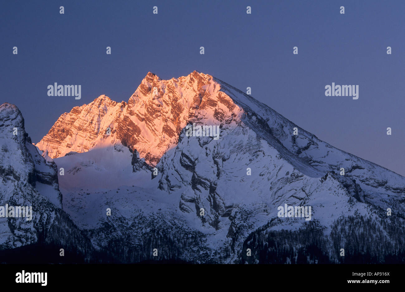Watzmann glowing in morning light, Berchtesgaden range, Upper Bavaria ...
