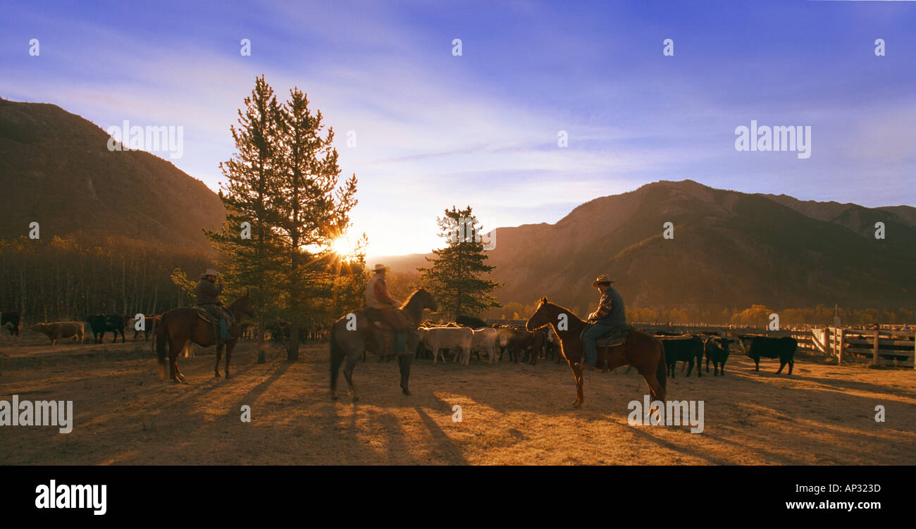 Roundup corral hi-res stock photography and images - Alamy