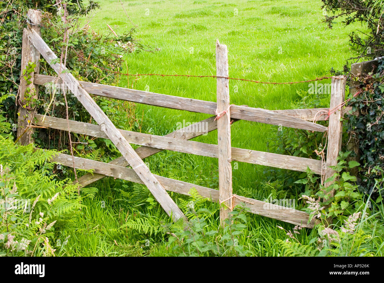 Old broken gate Stock Photo - Alamy