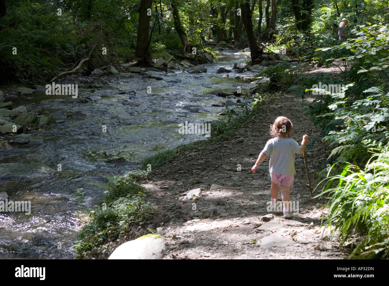 Little girl walking on the footpath beside a woodland stream Stock ...