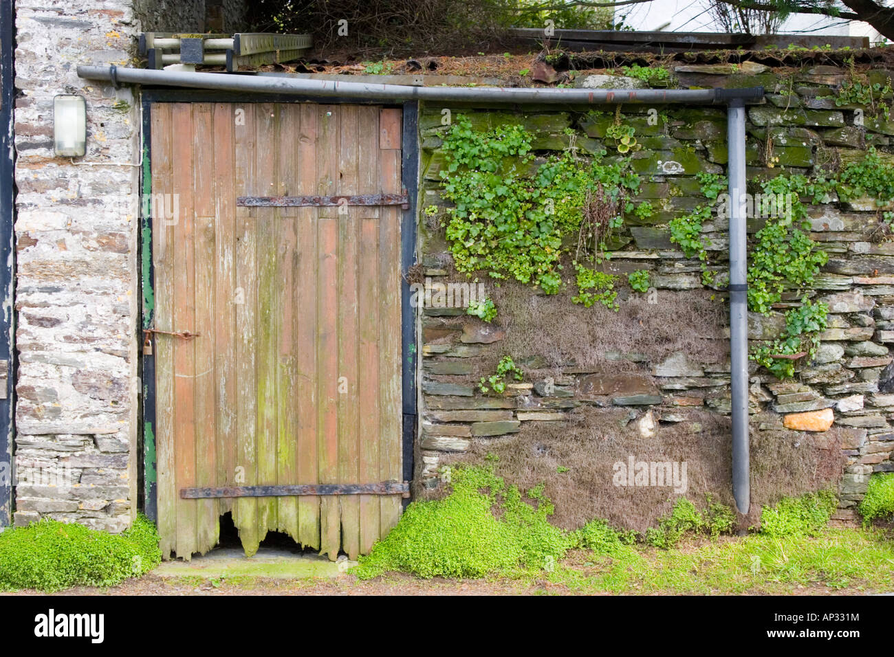 Old shed door and guttering Stock Photo - Alamy
