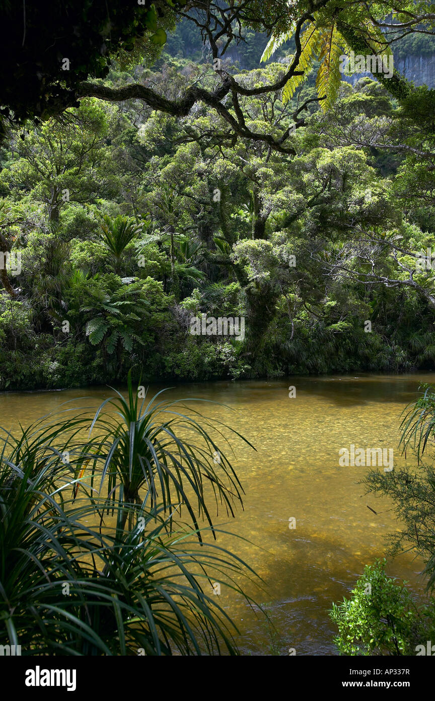 Punakaiki River, Punakaiki National Park north of Hokitika, Westcoast ...