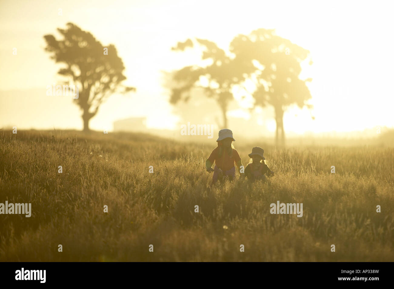 Children walking through high gras, sunset at the Westcoast, near Haast ...