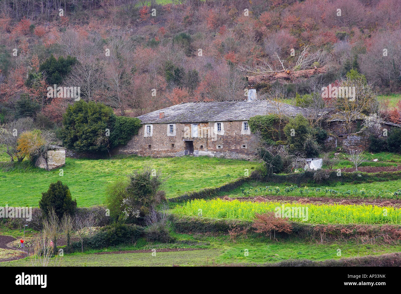 View showing an old farm near the village of Renche, near Samos ...