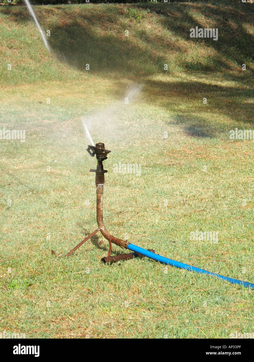 one sprinkler spraying water on lawn Stock Photo - Alamy