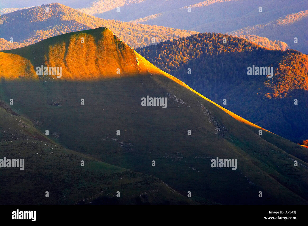 Bosque del irati hi-res stock photography and images - Alamy