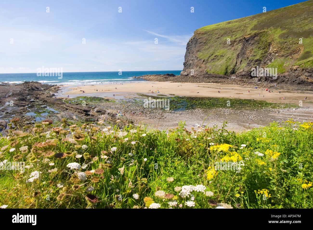 The beach and cliffs in Crackington Haven Cornwall Stock Photo - Alamy