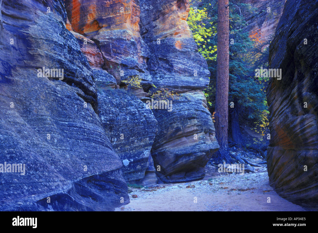 Small canyon with smooth floor and blue gray walls Stock Photo - Alamy
