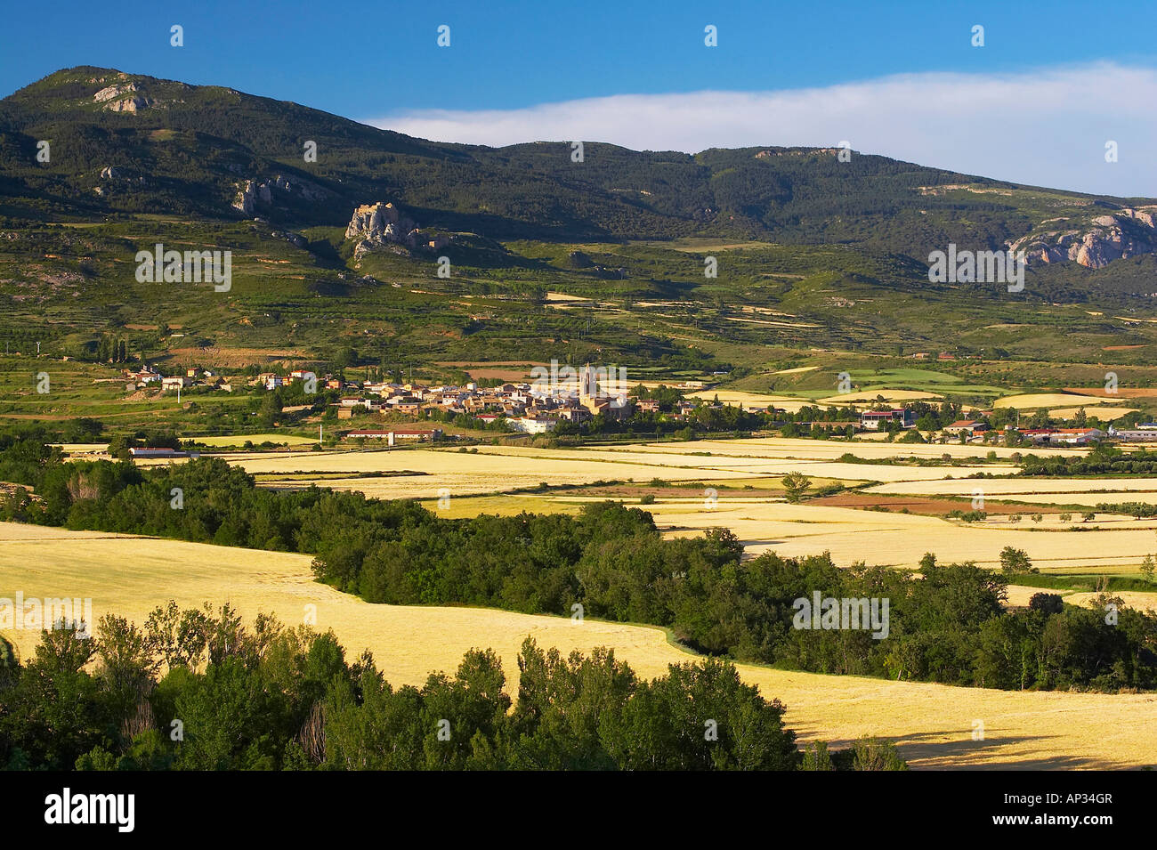 Castle, Castillo de Loarre, and village early in summer with cornfields ...
