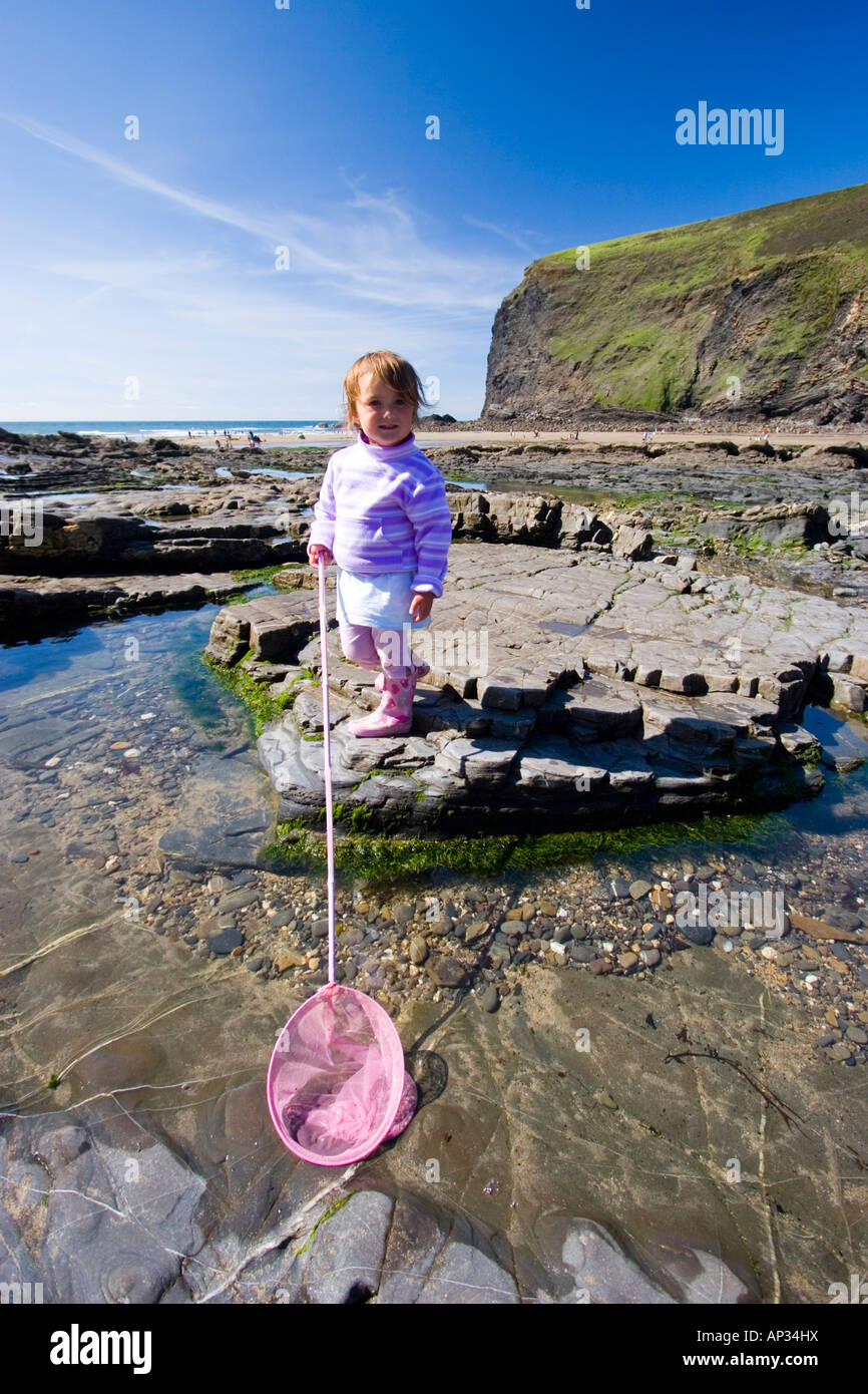 Young girl with net fishing in rock pools at Crackington Haven in ...