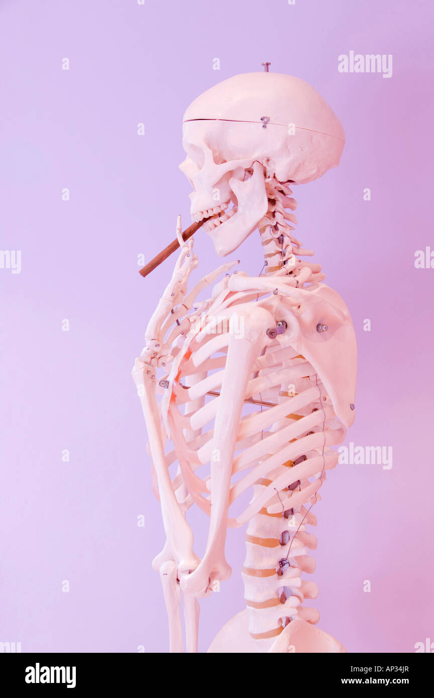 Human skeleton smoking cigar hi-res stock photography and images - Alamy