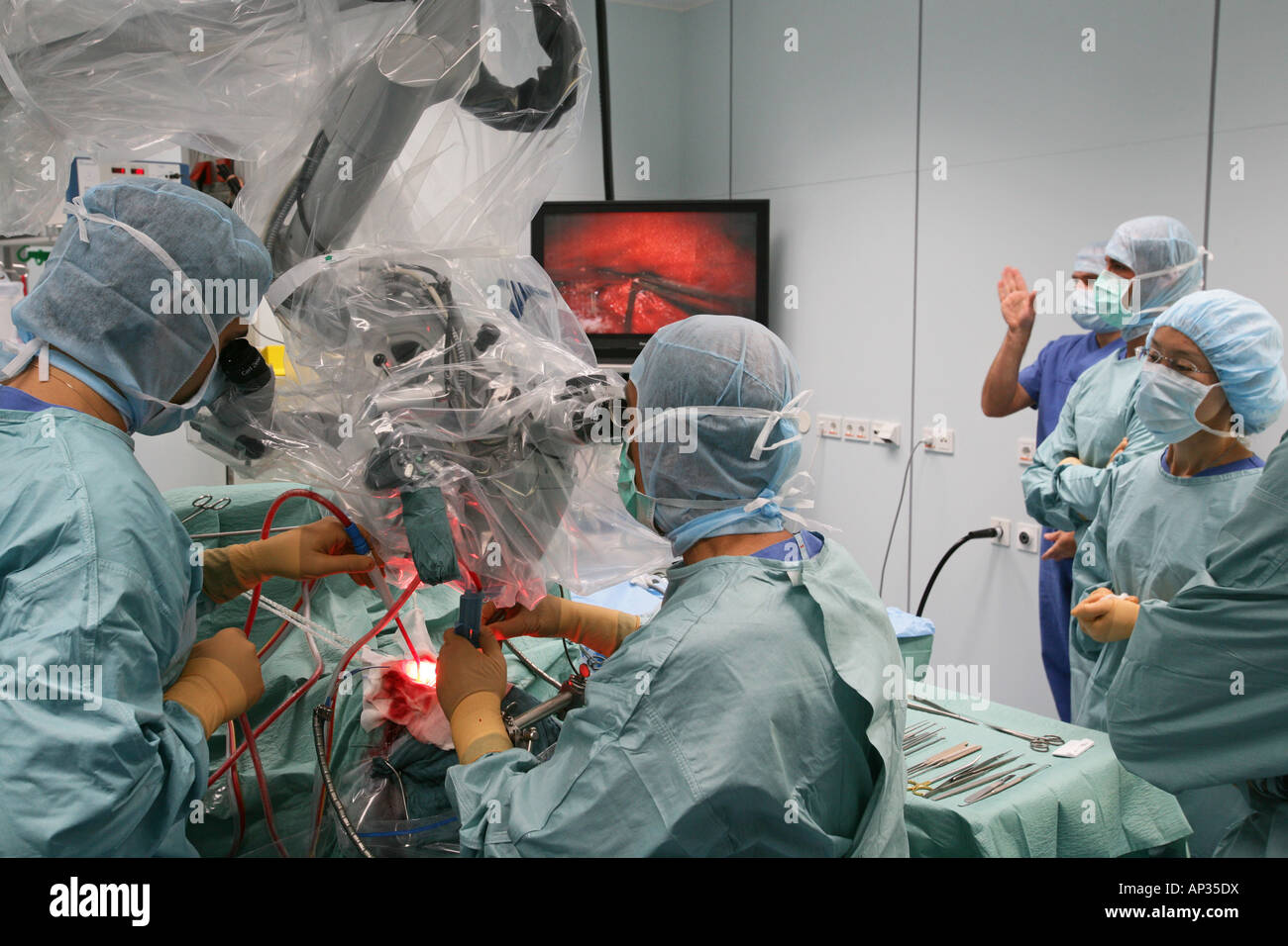 Samiie hi-res stock photography and images - Alamy