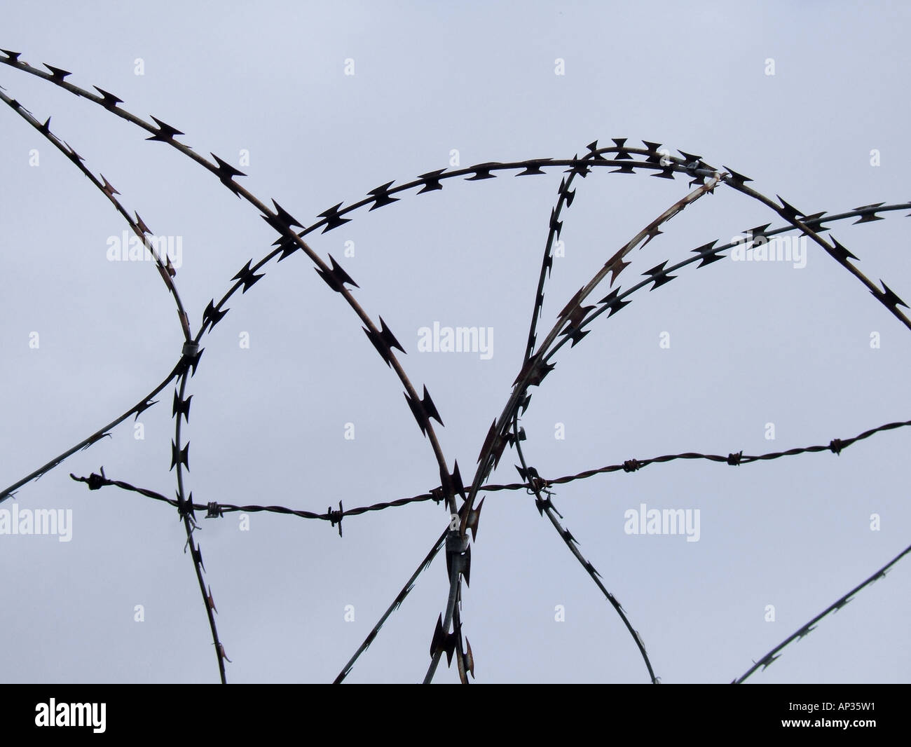 maximum security fence Stock Photo - Alamy