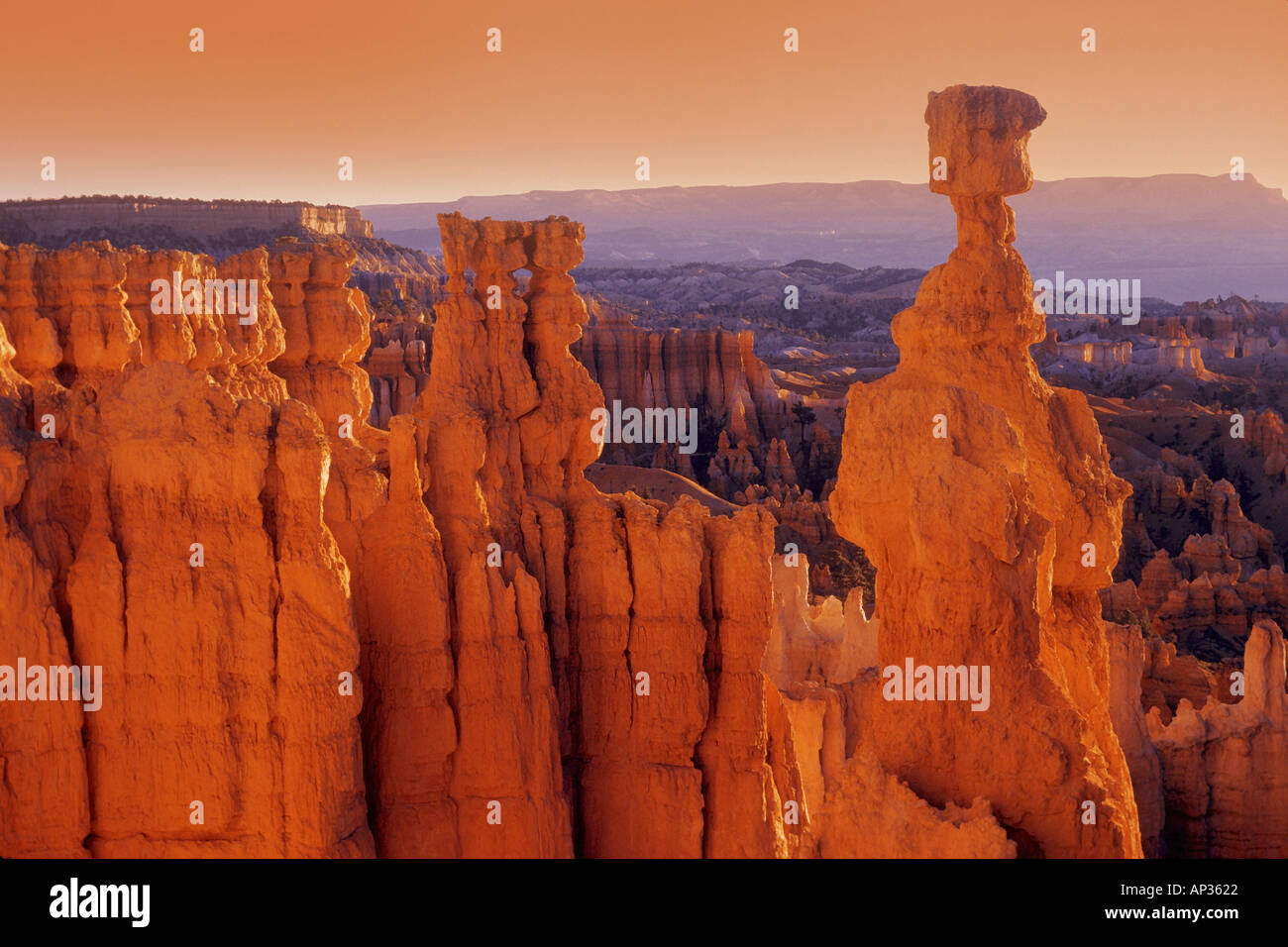 Canyon with column Stock Photo - Alamy
