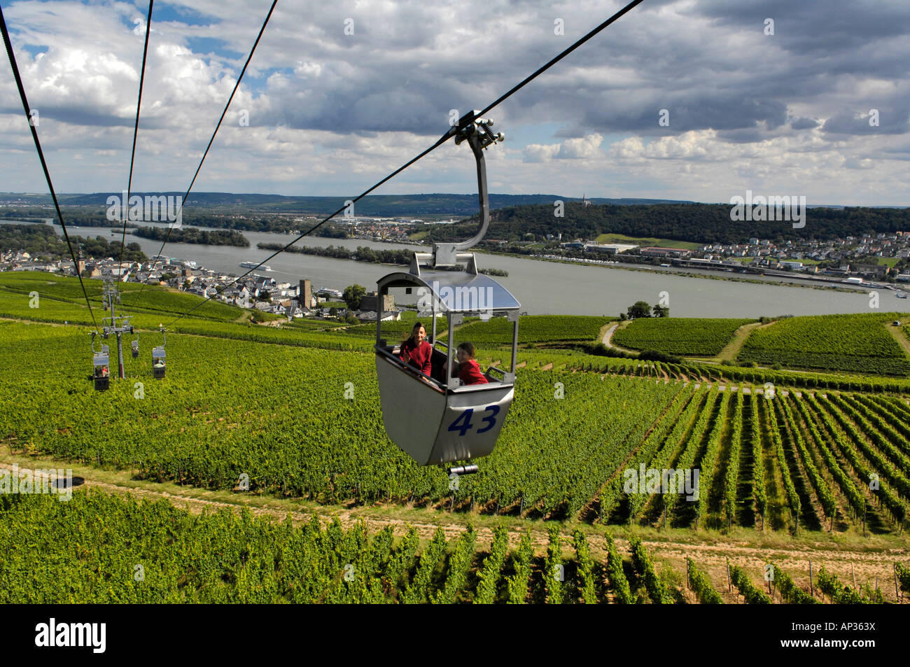 Cable car over vineyards, Ruedesheim am Rhein, Rheingau, Hesse, Germany ...