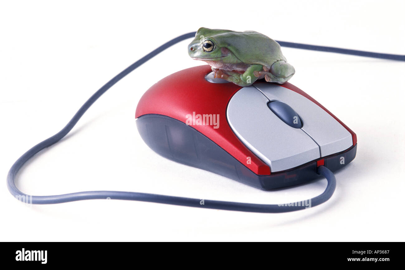 Communication animals hi-res stock photography and images - Alamy