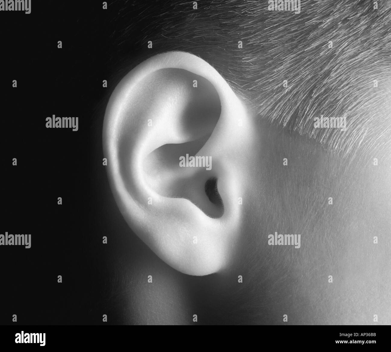 Sense Of Hearing Black and White Stock Photos & Images - Alamy