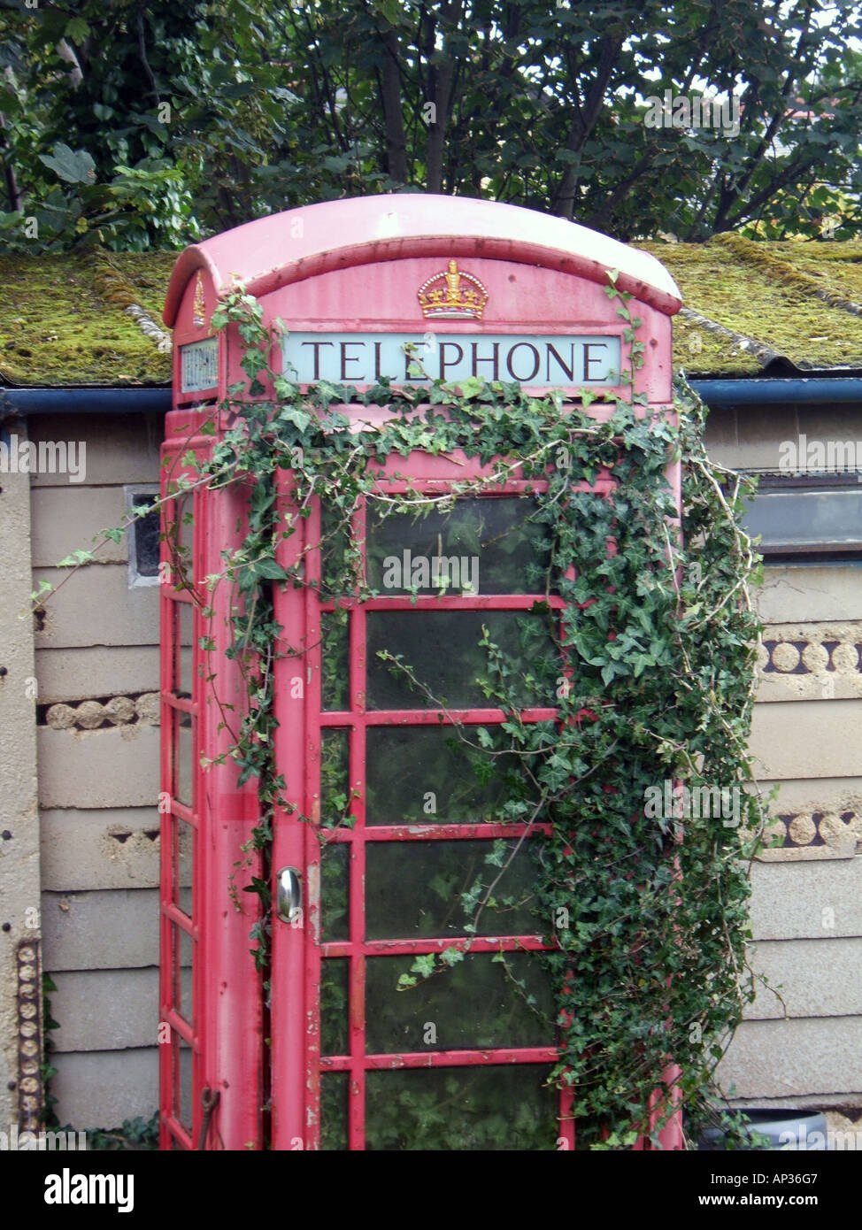 Red telephone box overgrown plants hi-res stock photography and images ...