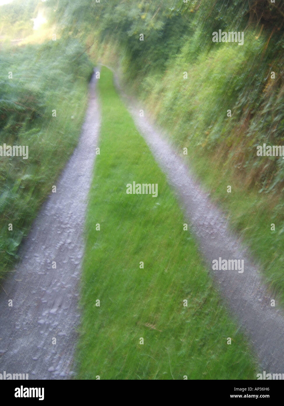 country lane with motion blur Stock Photo - Alamy