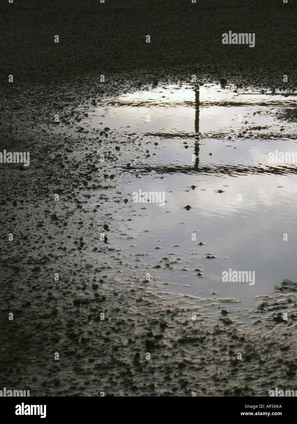 farm gate reflected in pool of water on street Stock Photo - Alamy