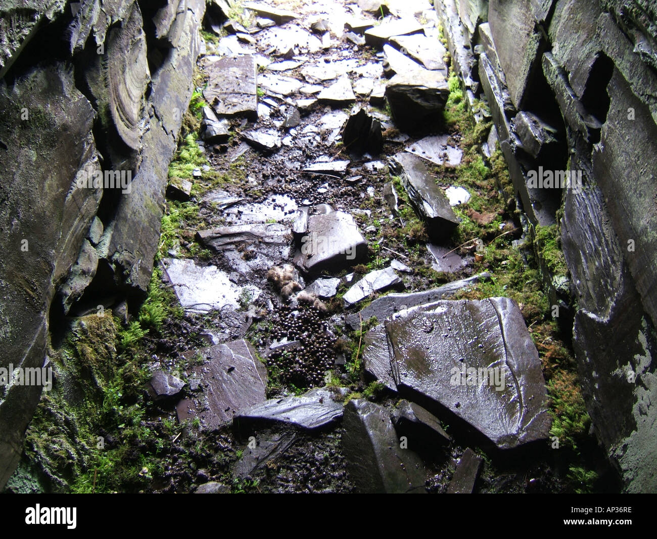inside dark cave Stock Photo - Alamy