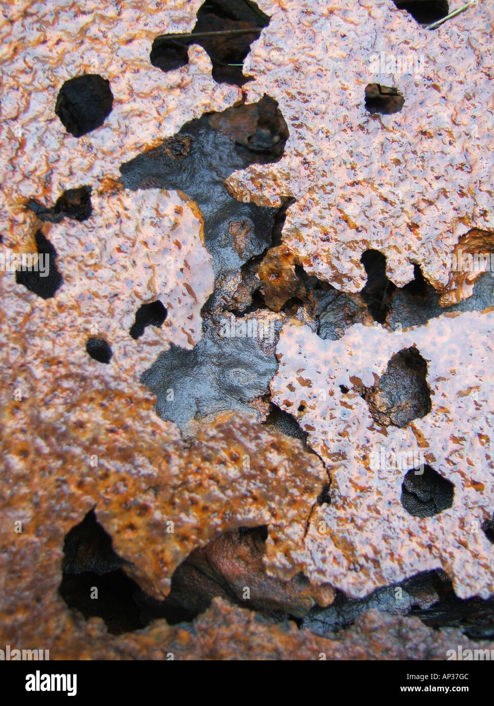 Piece Of Metal With Holes