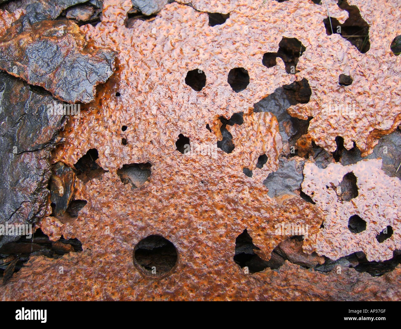 corroded piece of metal full of holes on derelict industrial site Stock ...