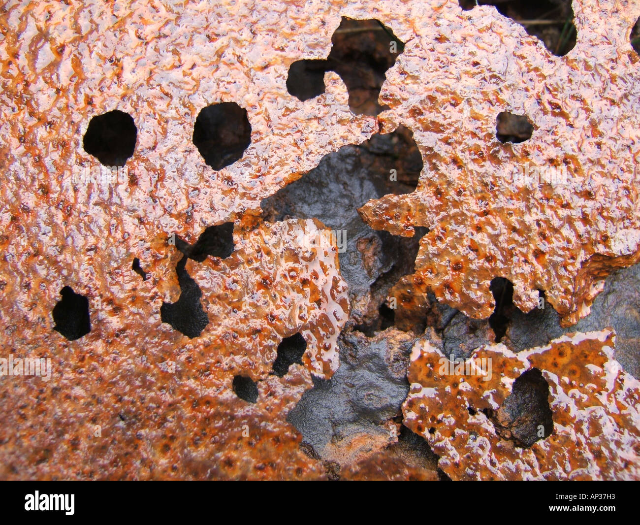 corroded piece of metal full of holes on derelict industrial site Stock ...