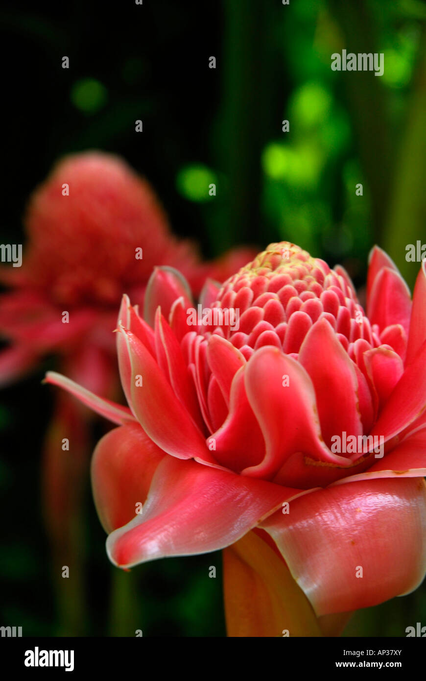 Rayavadee in krabi hi-res stock photography and images - Alamy