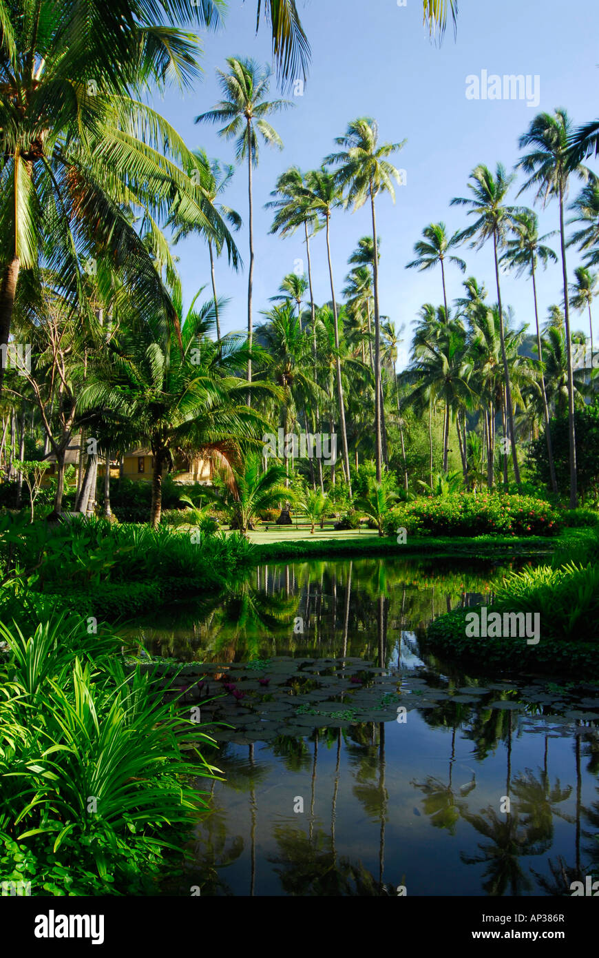 Bungalow in the tropical garden of Hotel Rayavadee, Hat Phra Nang ...