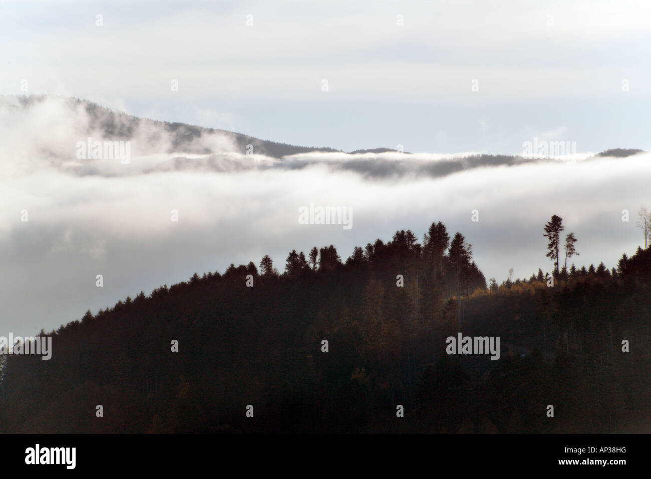 Kinzig valley hi-res stock photography and images - Alamy