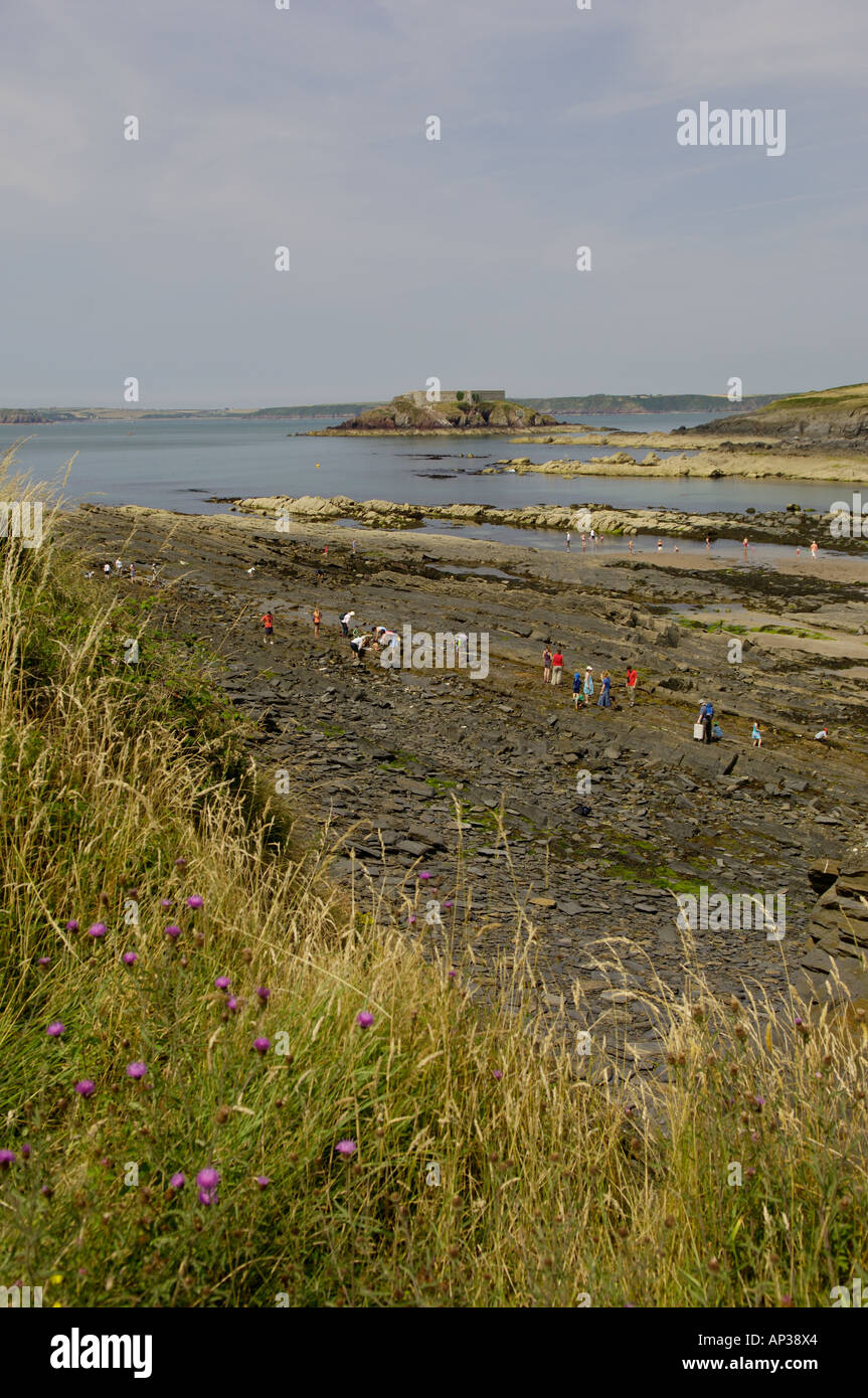 Thorn island wales hi-res stock photography and images - Alamy