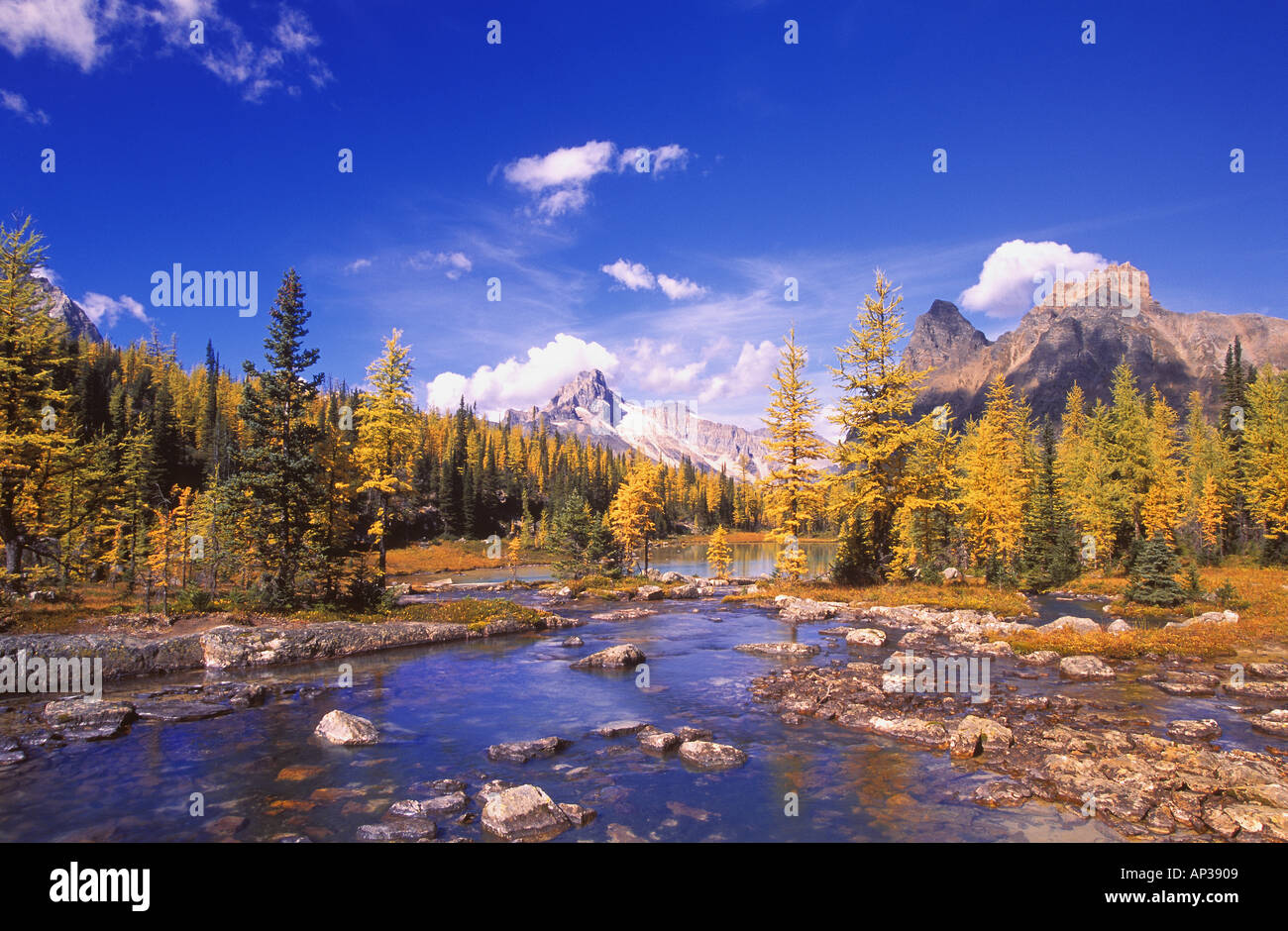 A scenic creek Stock Photo - Alamy
