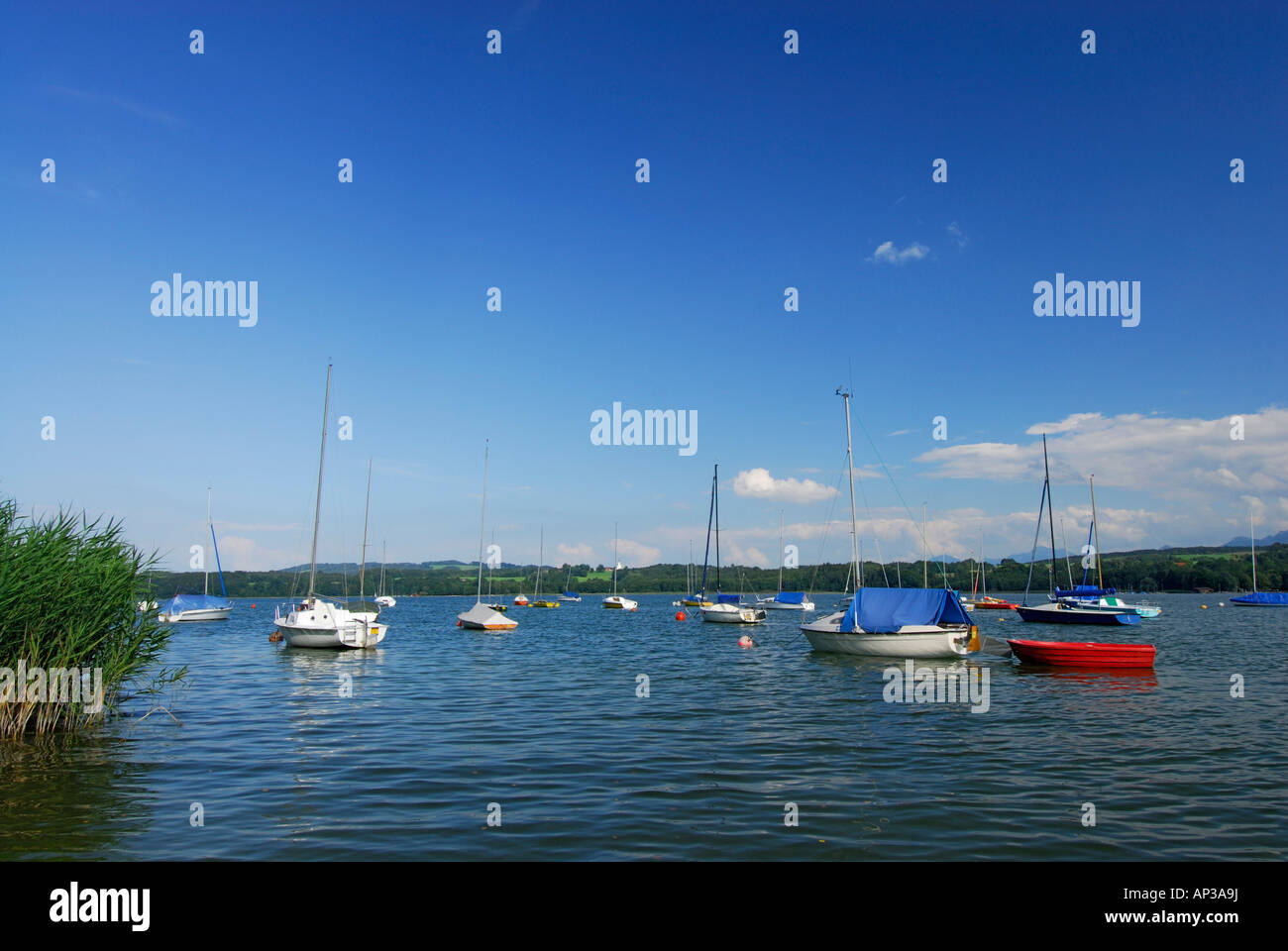 sailing boats at lake Simssee, Chiemgau, Upper Bavaria, Bavaria ...