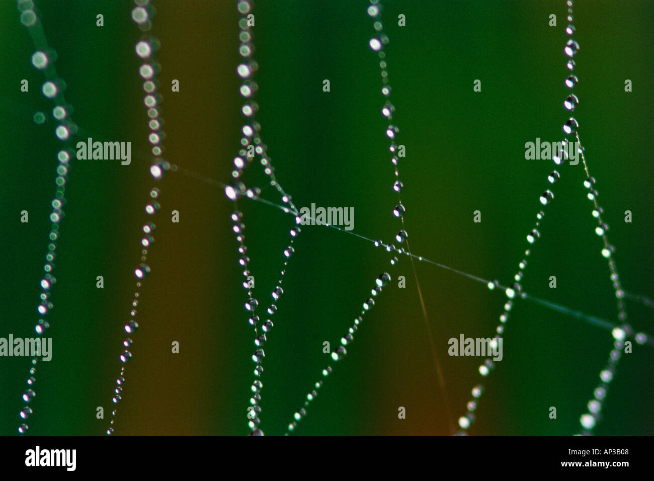 Spun filament hi-res stock photography and images - Alamy
