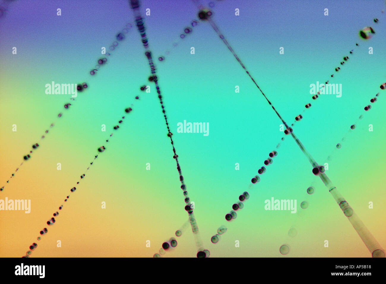 Spun filament hi-res stock photography and images - Alamy