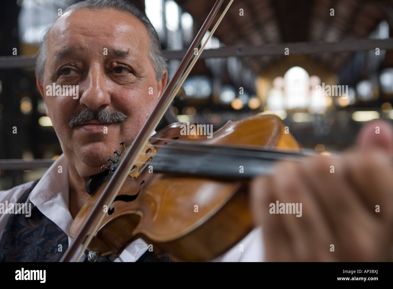 Gypsy Violinist in Central Market Hall, Pest, Budapest, Hungary Stock ...